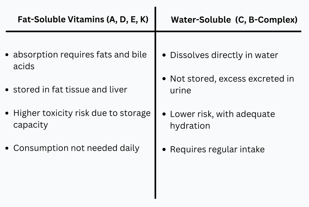 Understanding Vitamins: Fat-Soluble vs. Water-Soluble — King of the Curve